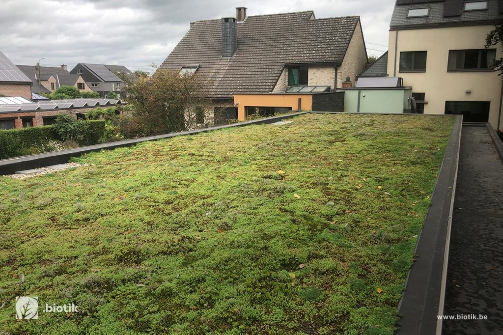 Toit Vert Isolant: Confort Thermique et Économie d’Énergie | Biotik